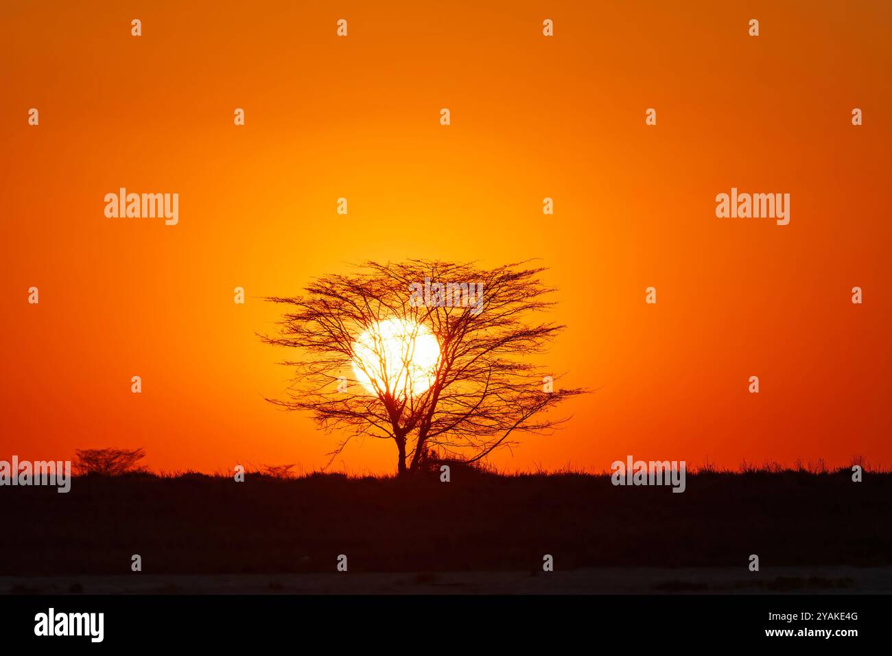 Sunset on the Makgadikgadi Salt Pans in Botswana Stock Photo - Alamy
