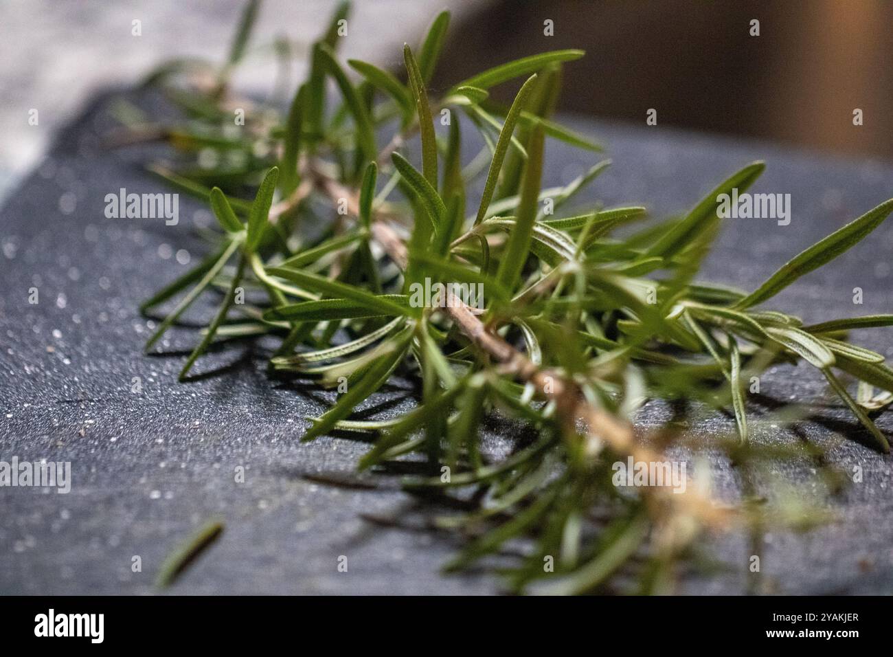 Close up shot on sprig hi-res stock photography and images - Alamy