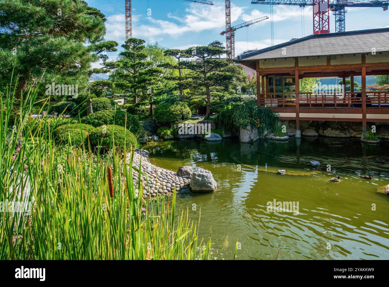 Amazing Japanese garden with pond and wooden pavilion (next to Monte Carlo) in Monaco. Awe ...