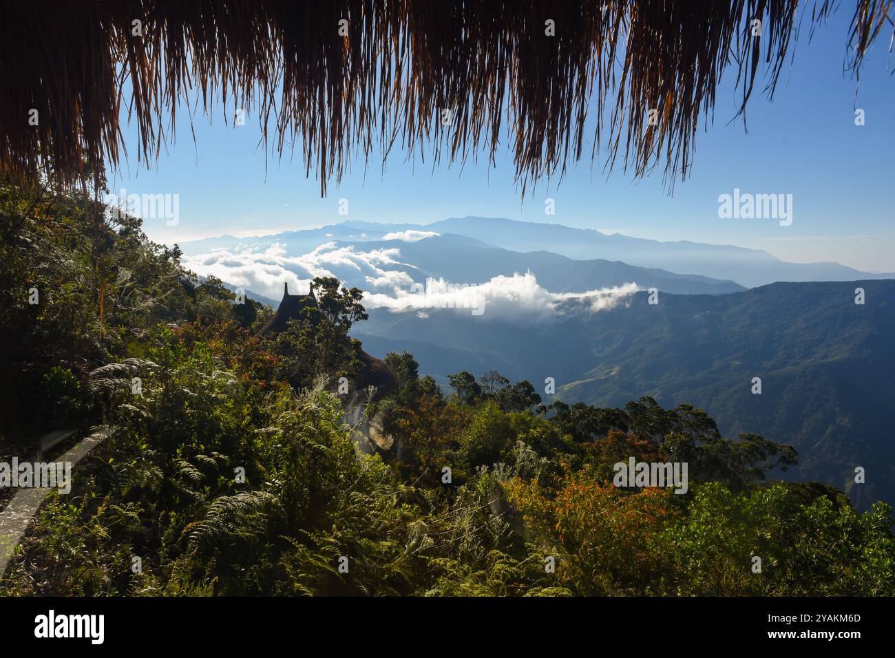 Kogihabs (individual huts, inspired by the architecture of the kogui ...
