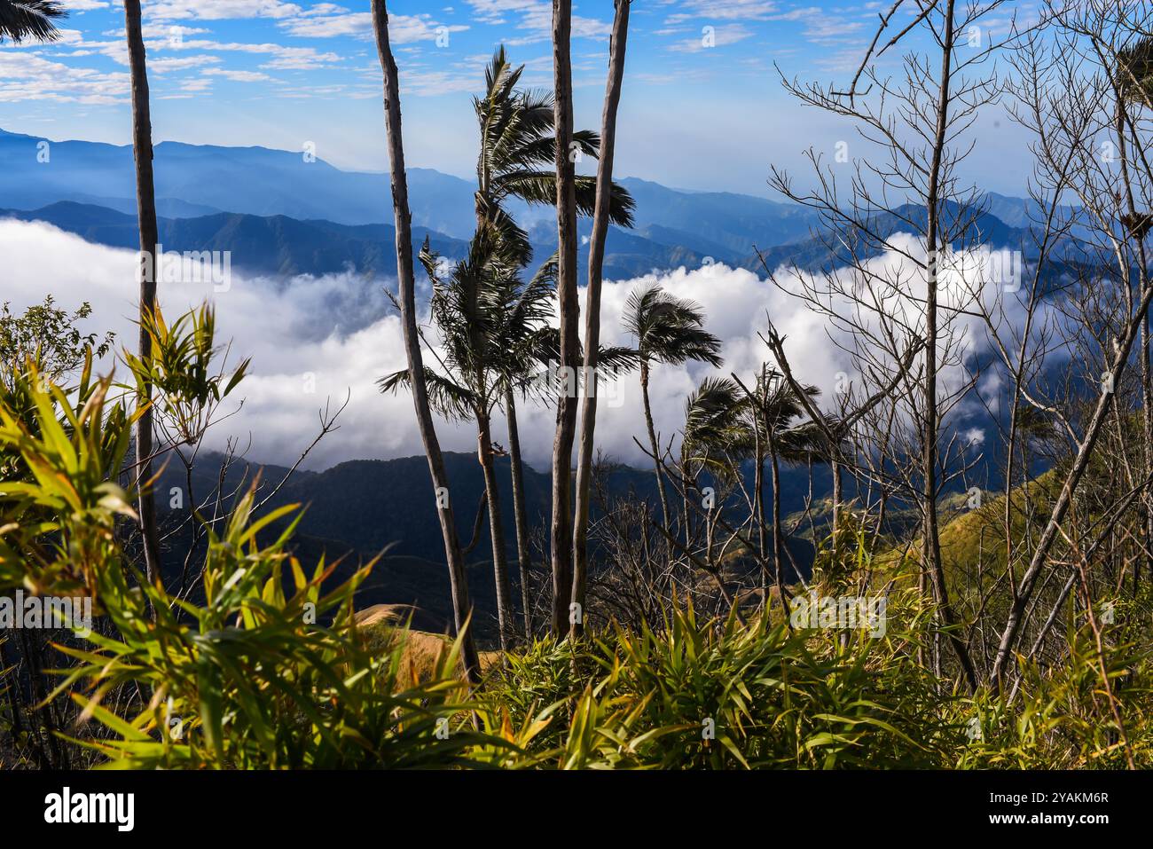 Sunrise view of the Sierra Nevada de Santa Marta, Mountains, including ...