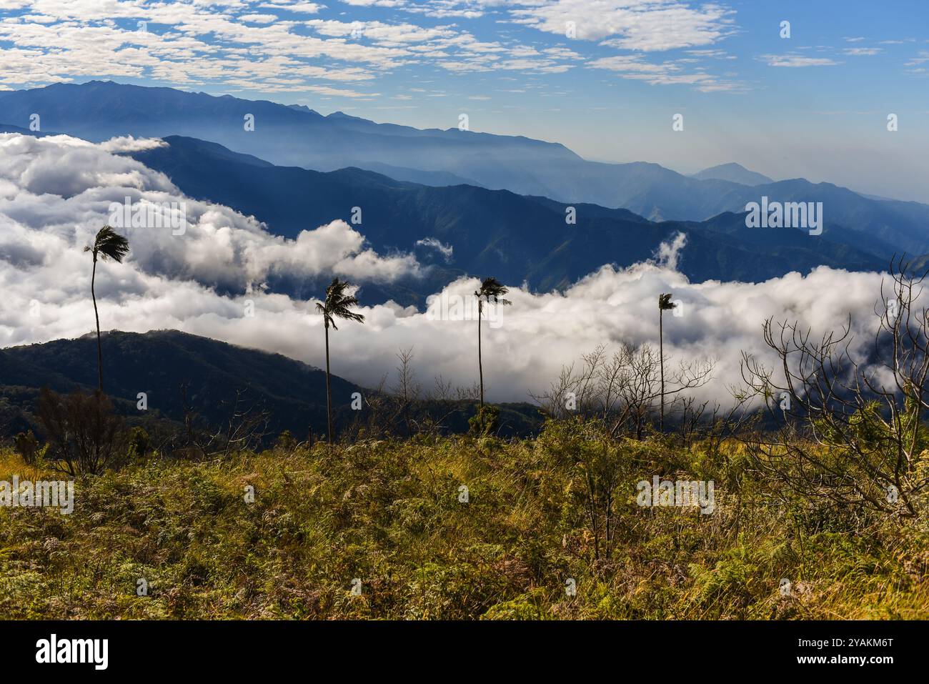 Sunrise view of the Sierra Nevada de Santa Marta, Mountains, including ...