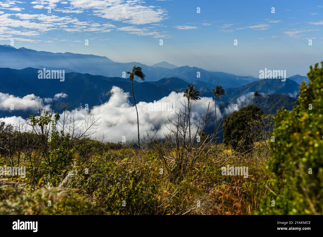 Sunrise view of the Sierra Nevada de Santa Marta, Mountains, including ...