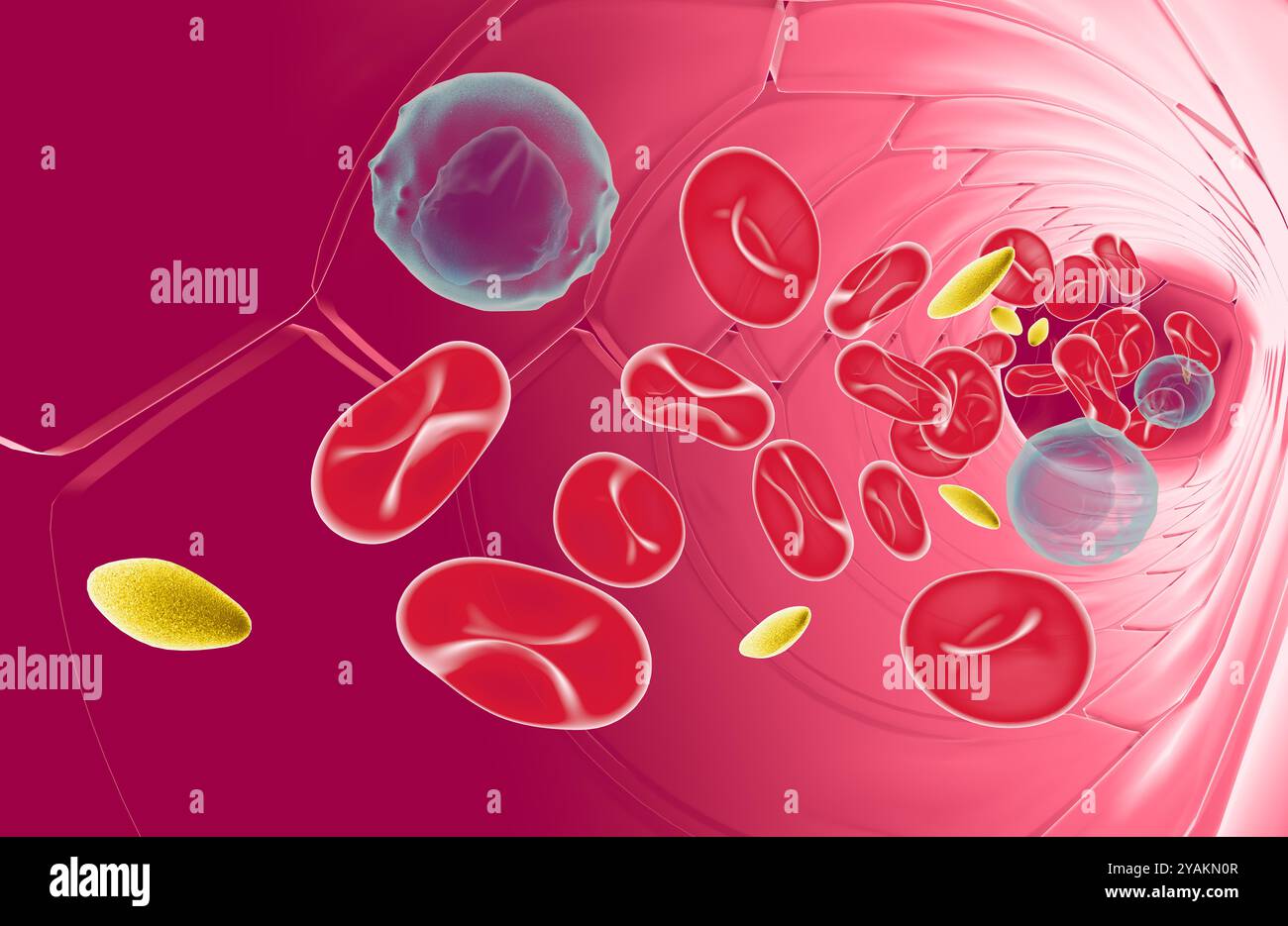 3D illustration of the anatomical interior of an artery or vein with ...