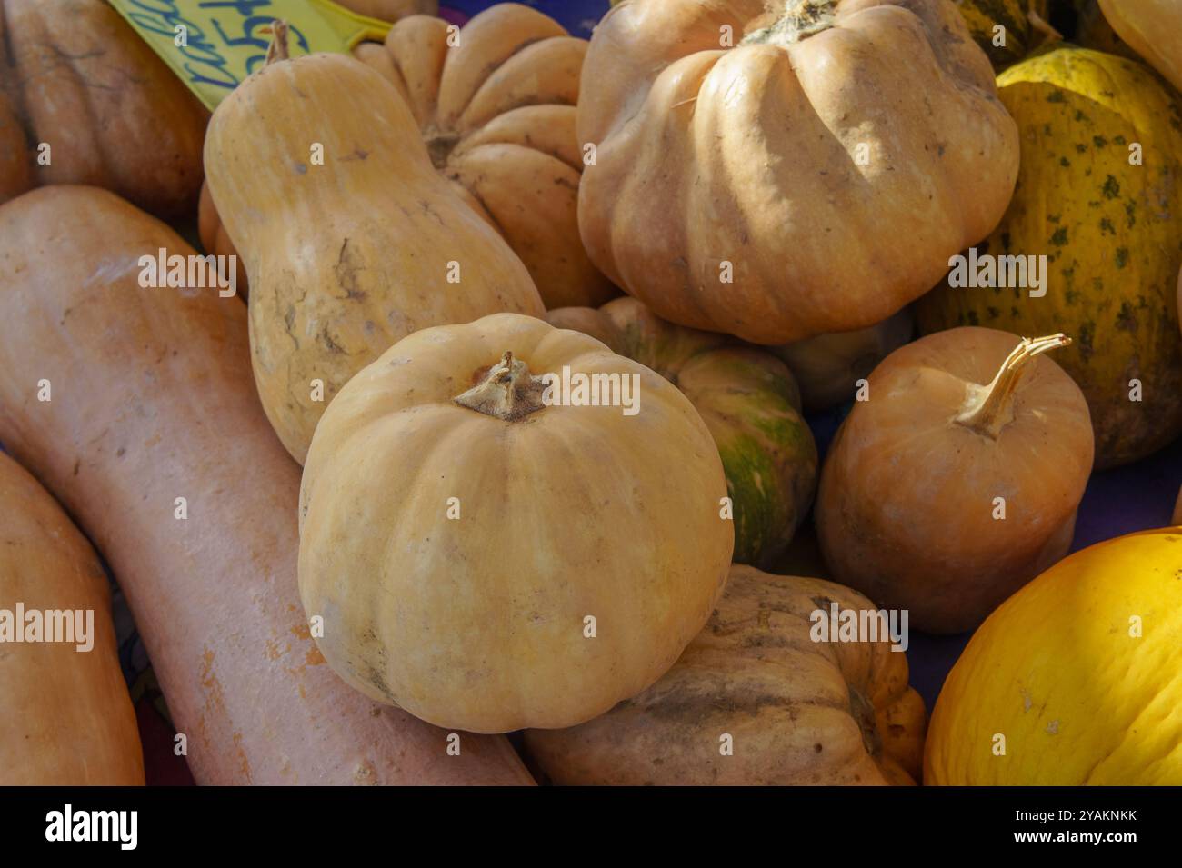 Different types colors fresh seasonal hi-res stock photography and ...