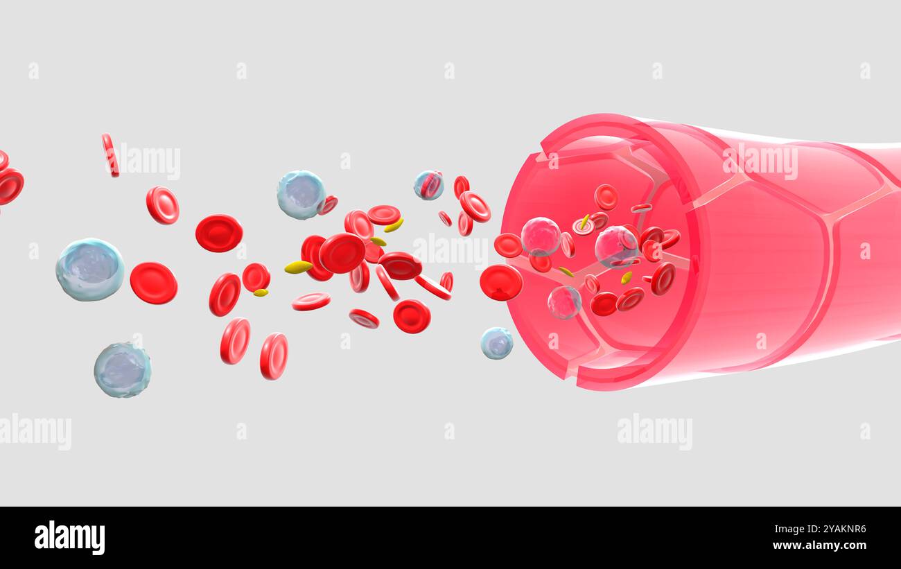 3D illustration of glass artery or vein with the movement of red blood ...