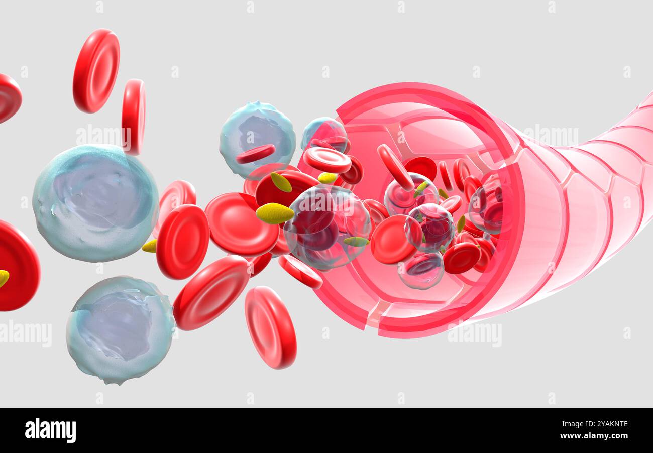 3D illustration of glass artery or vein with the movement of red blood ...