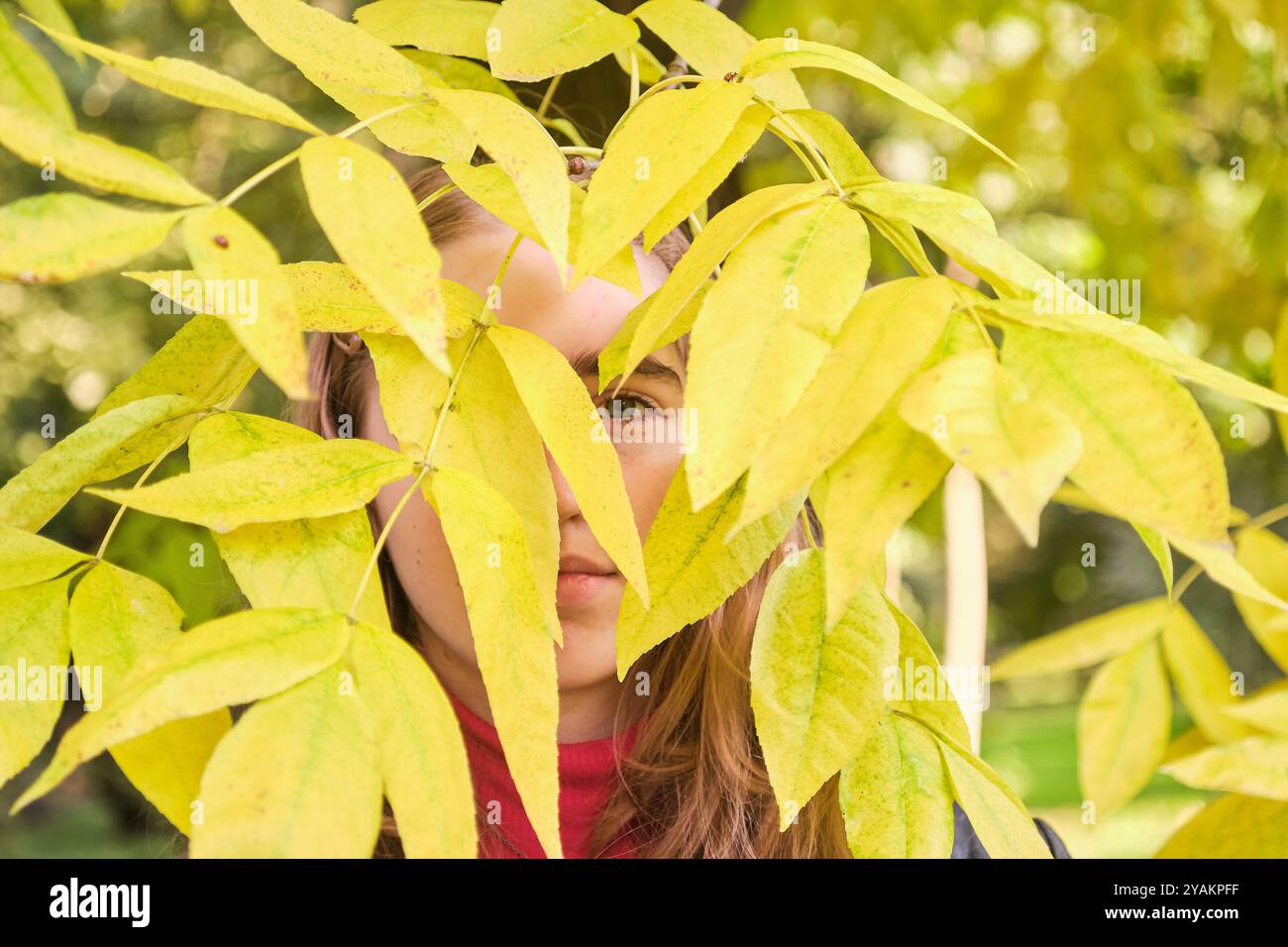 beautiful caucasian teenager girl peeks through bright yellow autumn ...