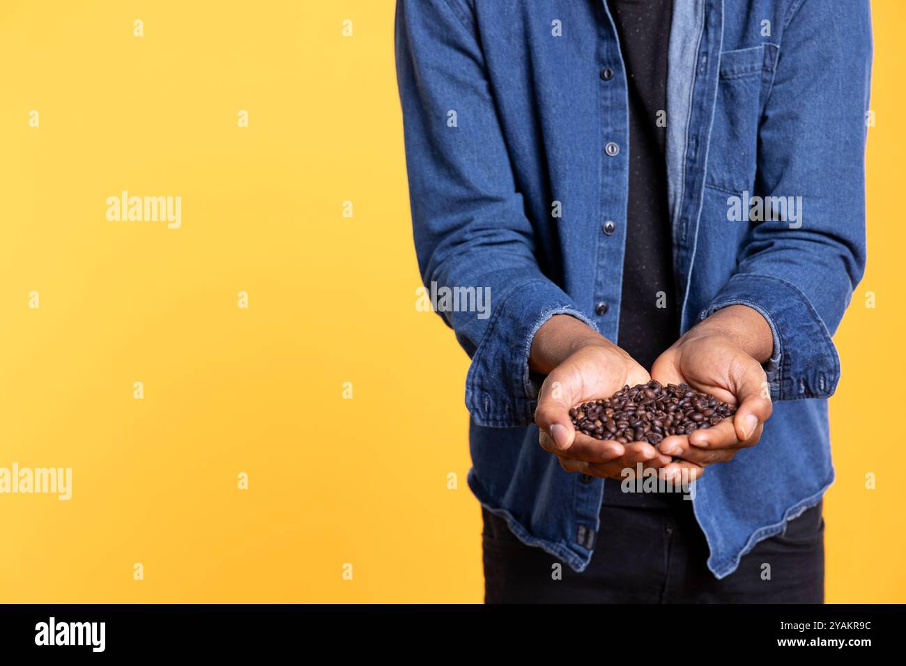 Coffee enthusiast presenting aromatic roasted beans on camera ...