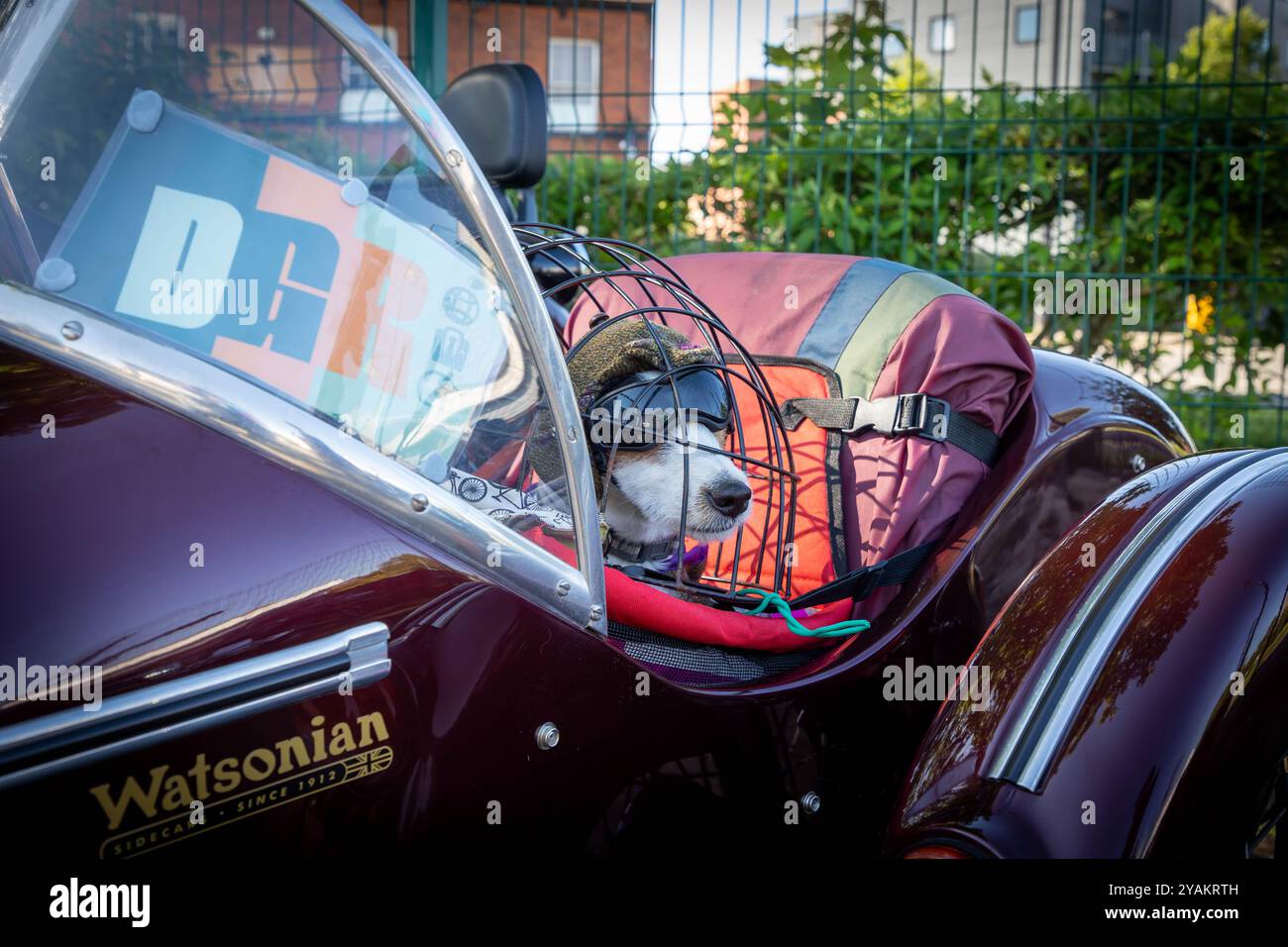 The Distinguished Gentleman's Ride (DGR) 2024. Jack Russell in ...