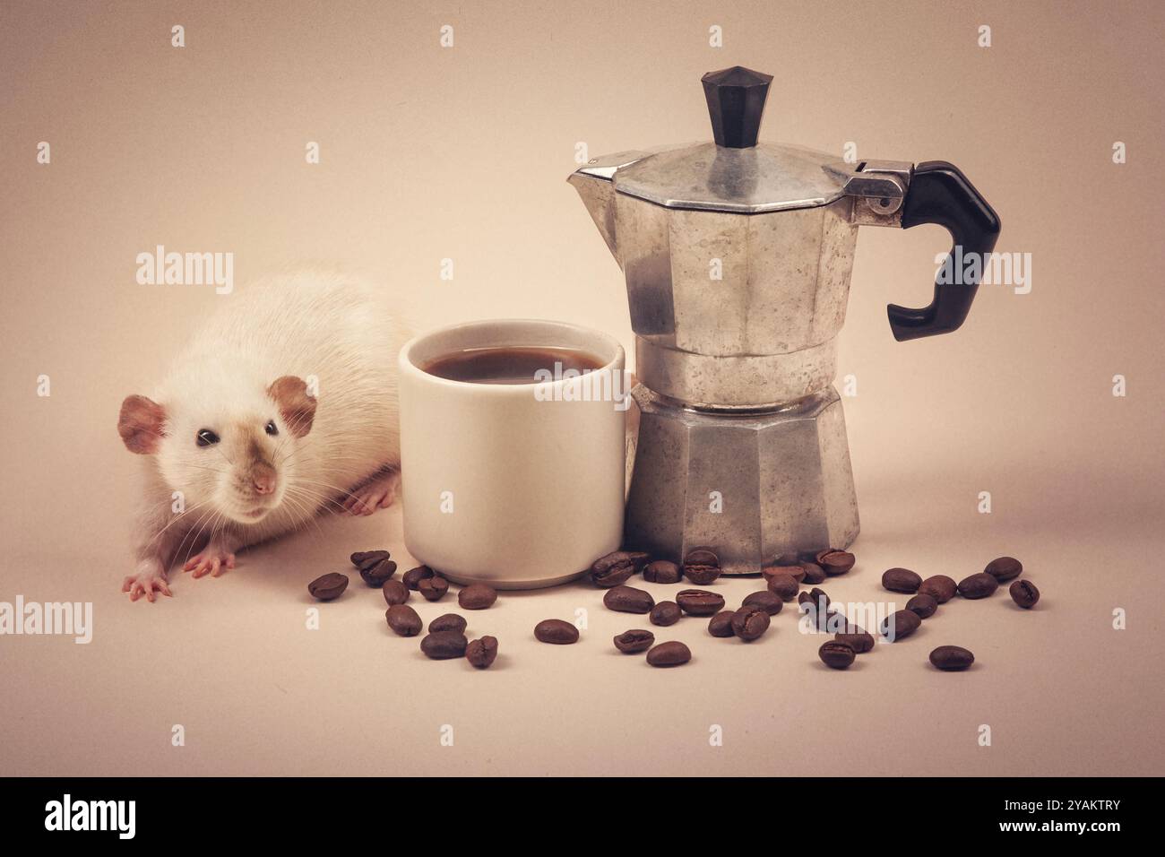 Cozy Morning Scene With Rat, Coffee Cup, and Espresso Maker Stock Photo ...