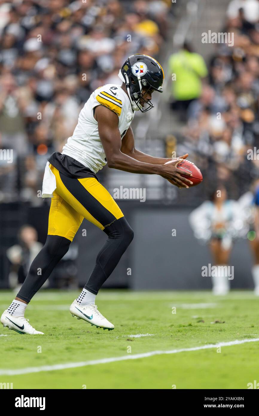 Pittsburgh Steelers punter Corliss Waitman (8) punts against the Las ...