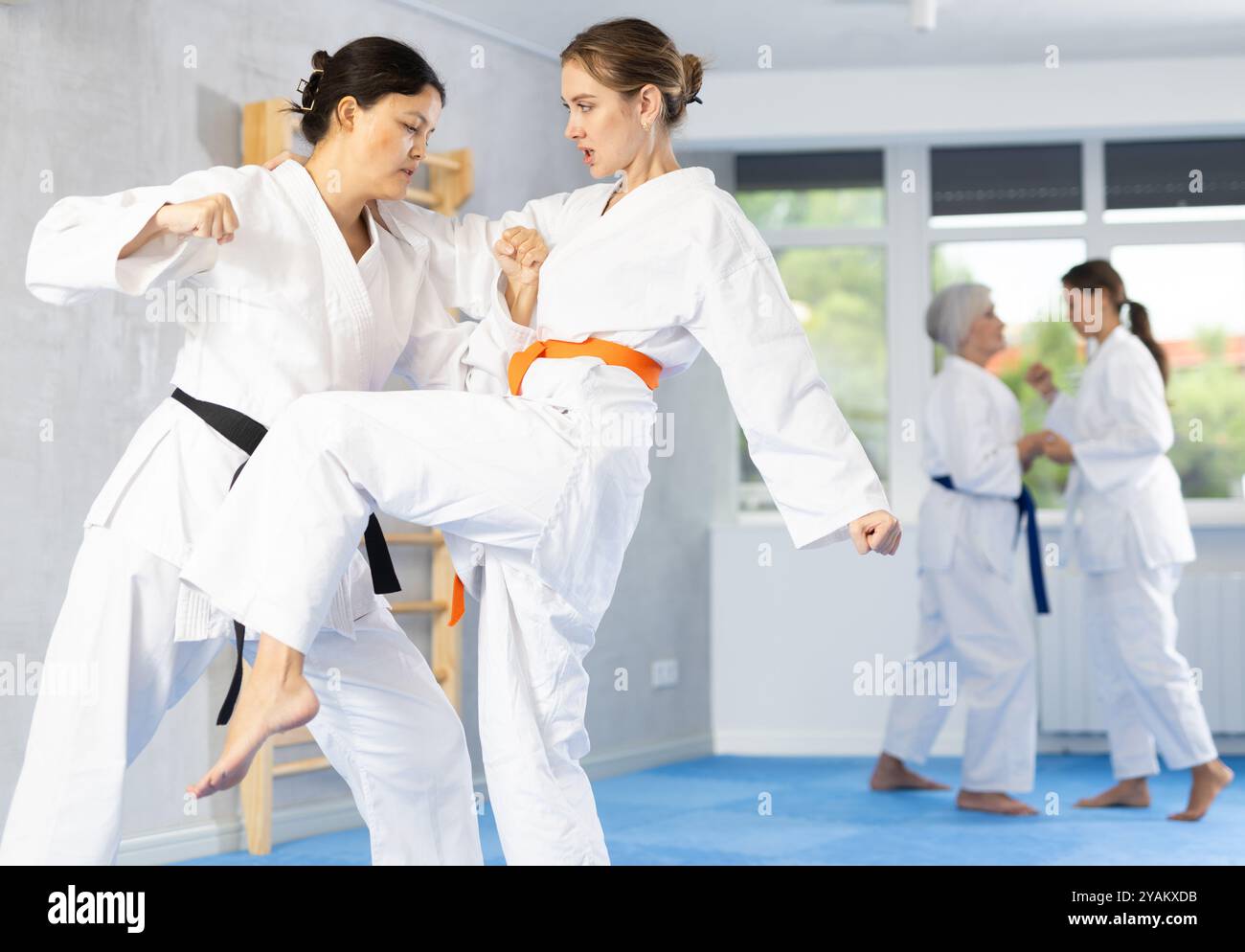 Two women trained to perform basic defensive karate installations and ...