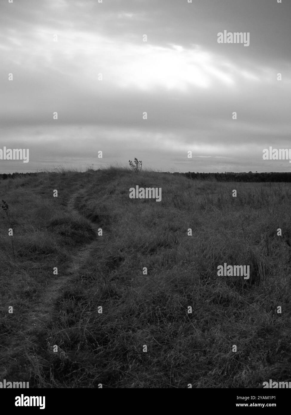 Black and white view of prehistoric henge monument Thornborough Henges ...
