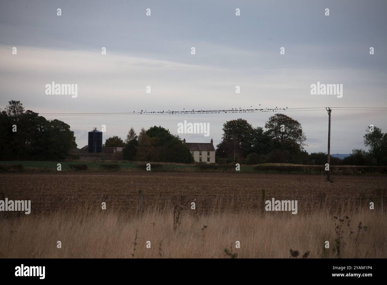 Prehistoric henge monument Thornborough Henges North Yorkshire England ...