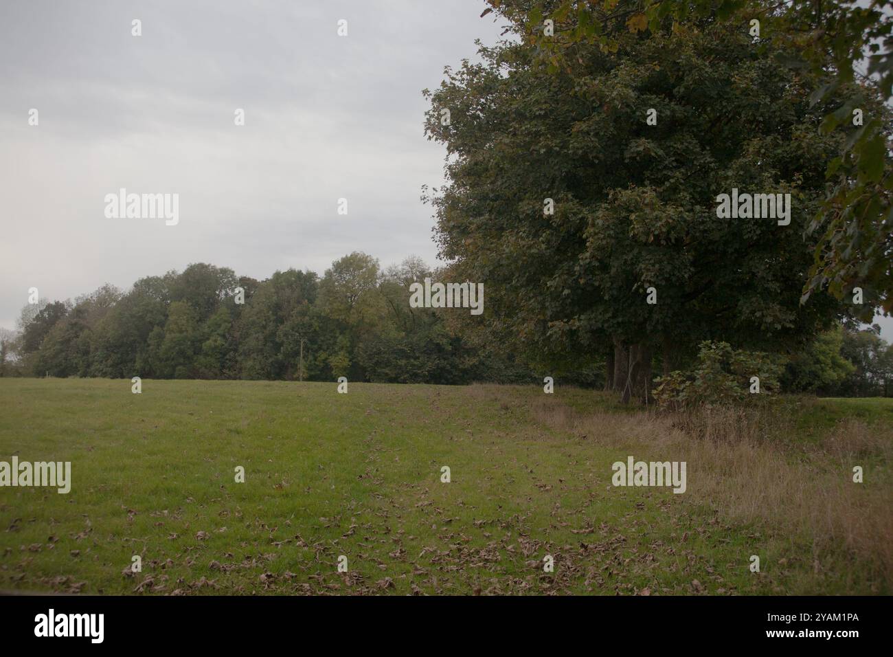 Thornborough henge hi-res stock photography and images - Alamy
