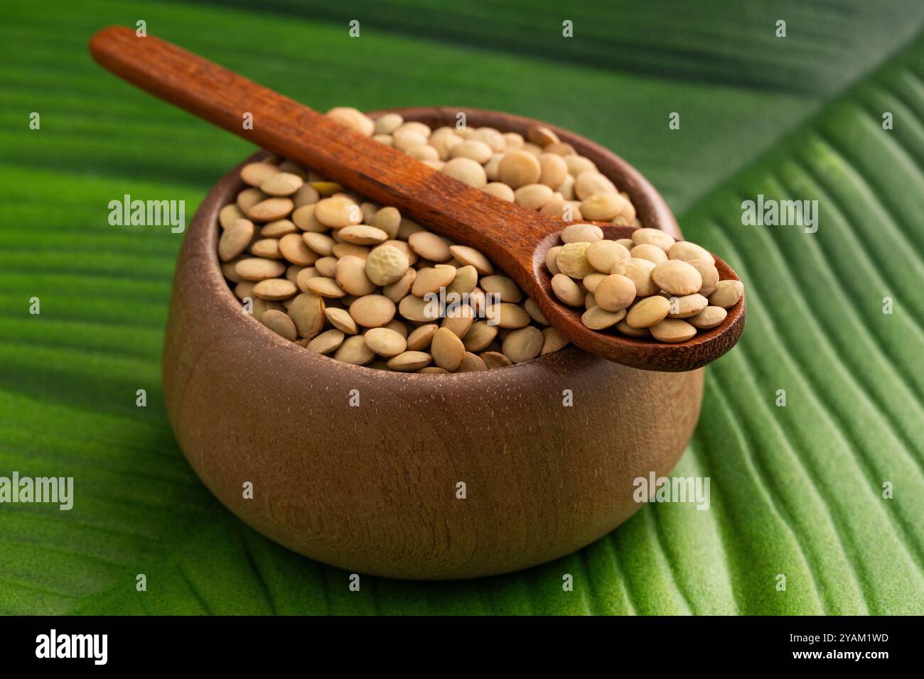 Brown lentils in bowl and spoon - Lens culinaris organic Stock Photo ...