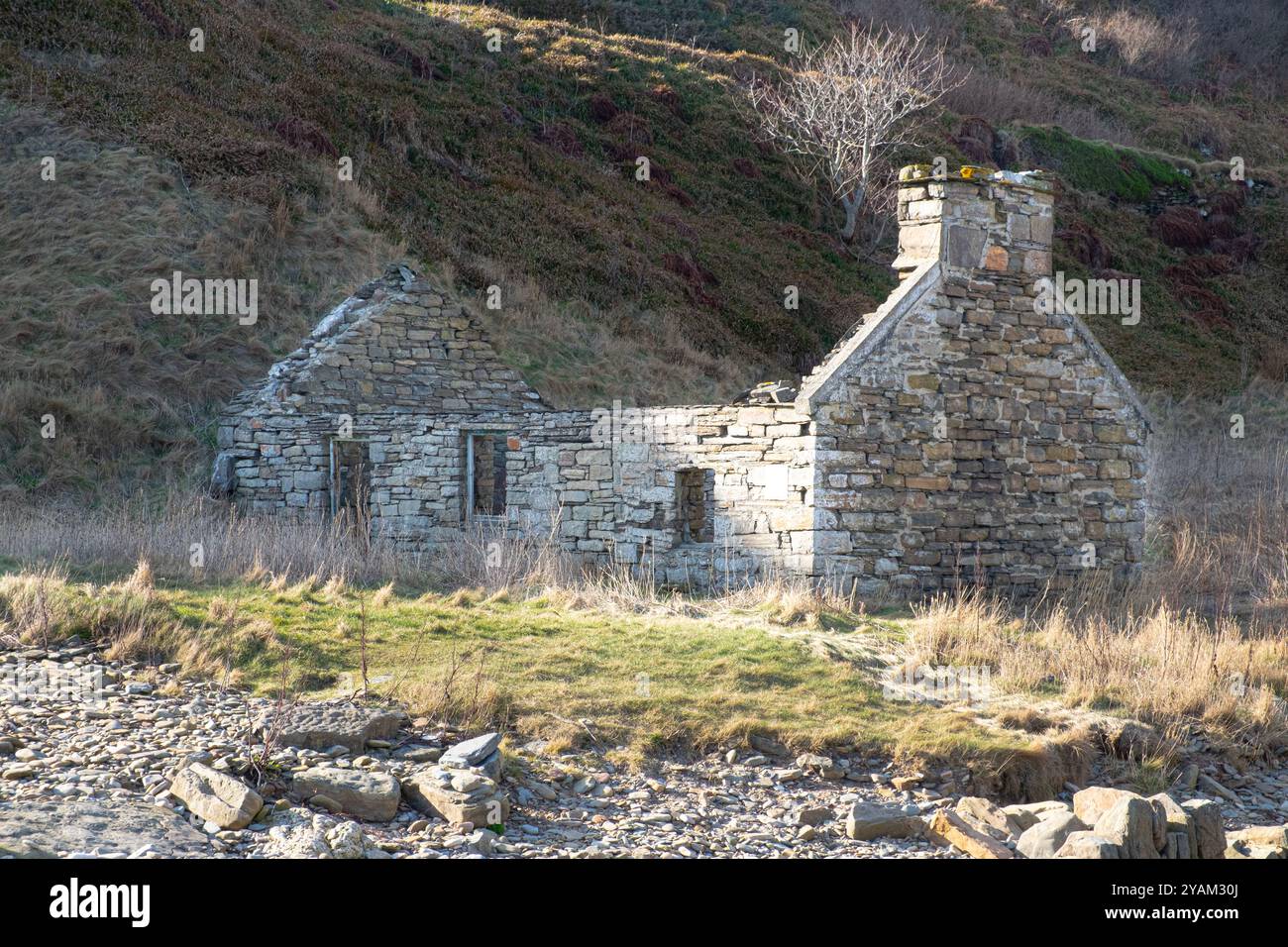 The remains of an abandoned croft in the harbour of Latheronwheel ...