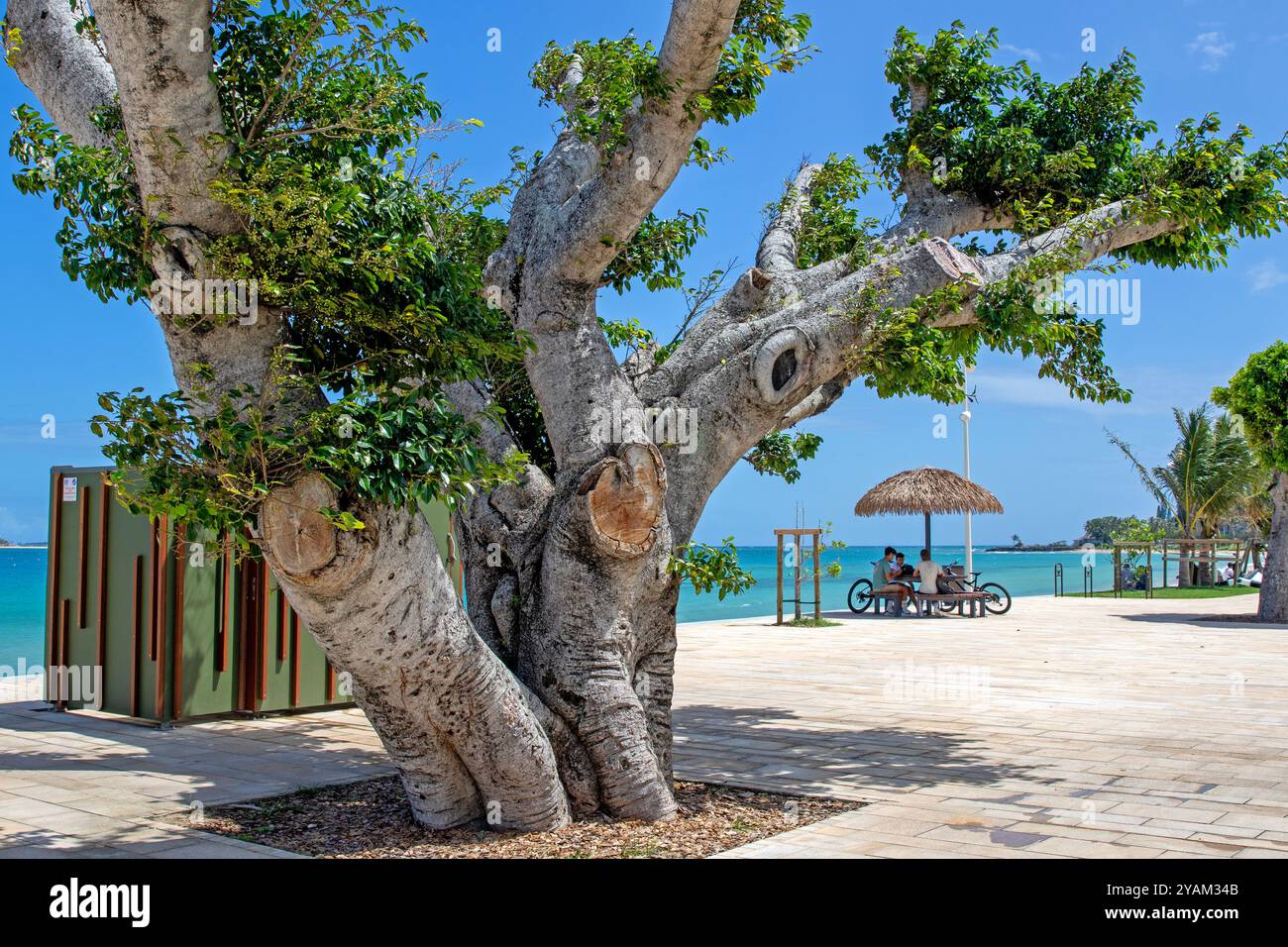 Hanging out on Anse Plata Beach (Plage de l'Anse Vata) in Noumea Stock ...