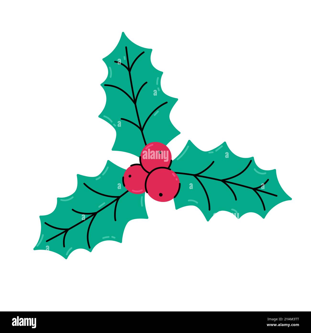 Christmas holly leaf isolated. Doodle vector illustration of three ilex ...