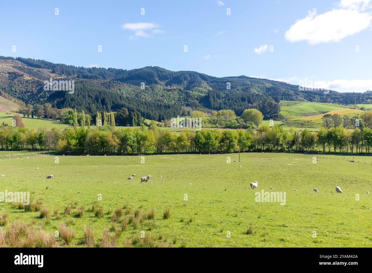 Fairlie tourist attraction hi-res stock photography and images - Alamy