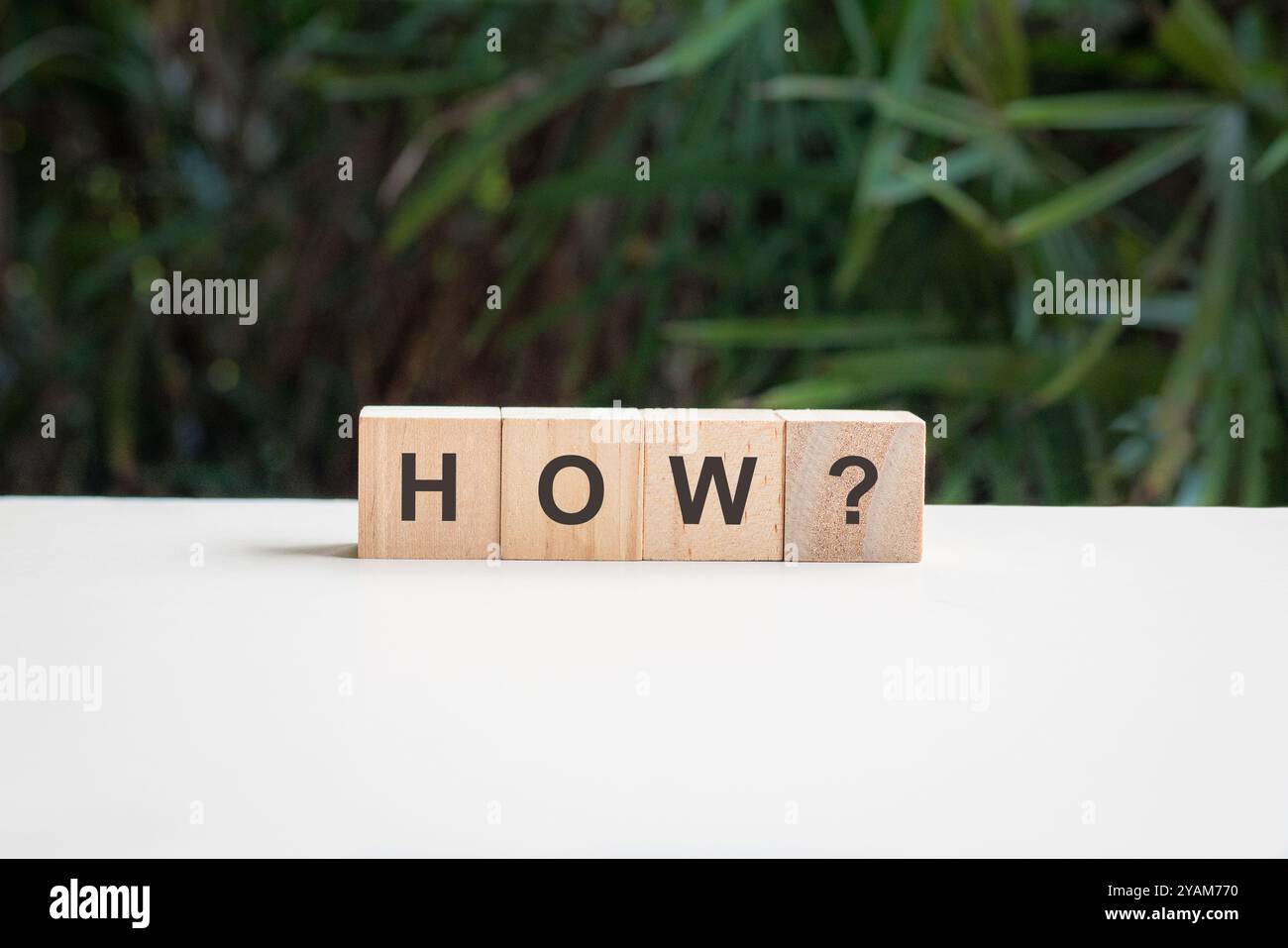 How, word written on square wood block, on top of white table with palm ...
