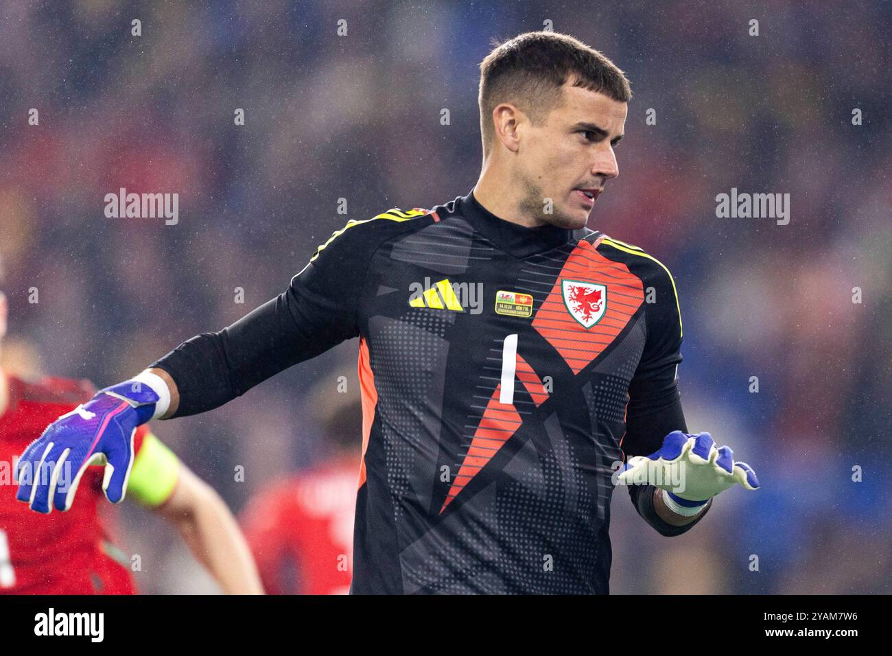 Cardiff, UK. 14th Oct, 2024. Wales goalkeeper Karl Darlow in action ...