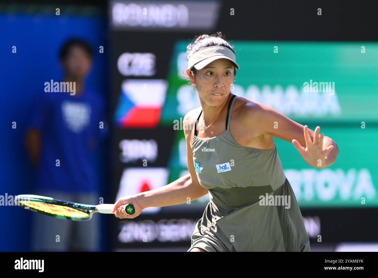 Osaka, Japan. 12th Oct, 2024. Ena Shibahara (JPN) Tennis : Women's Singles Qualifying at Morita ...