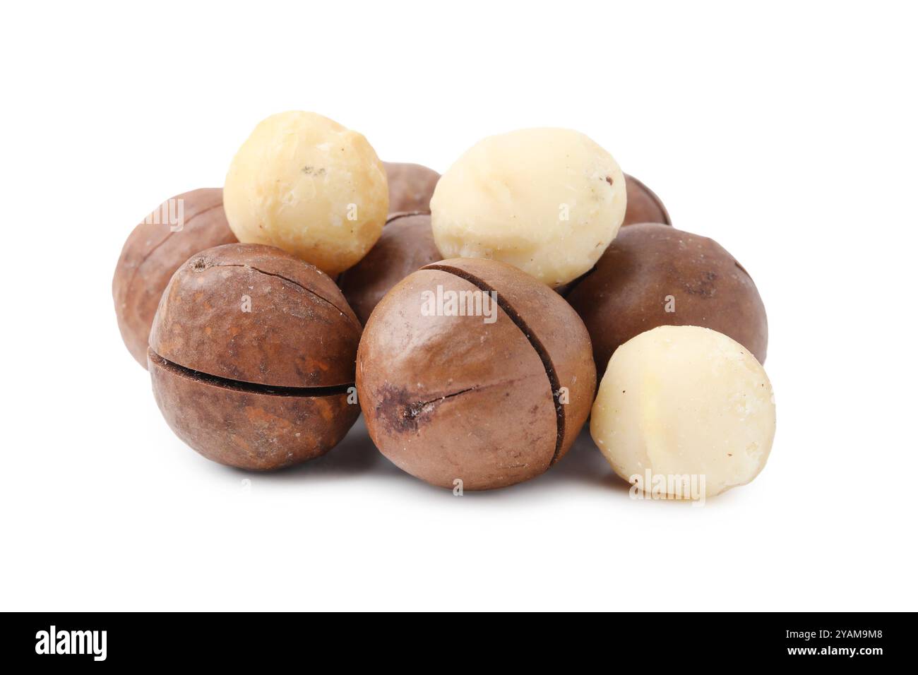 Macadamia nuts with shells isolated on white Stock Photo - Alamy