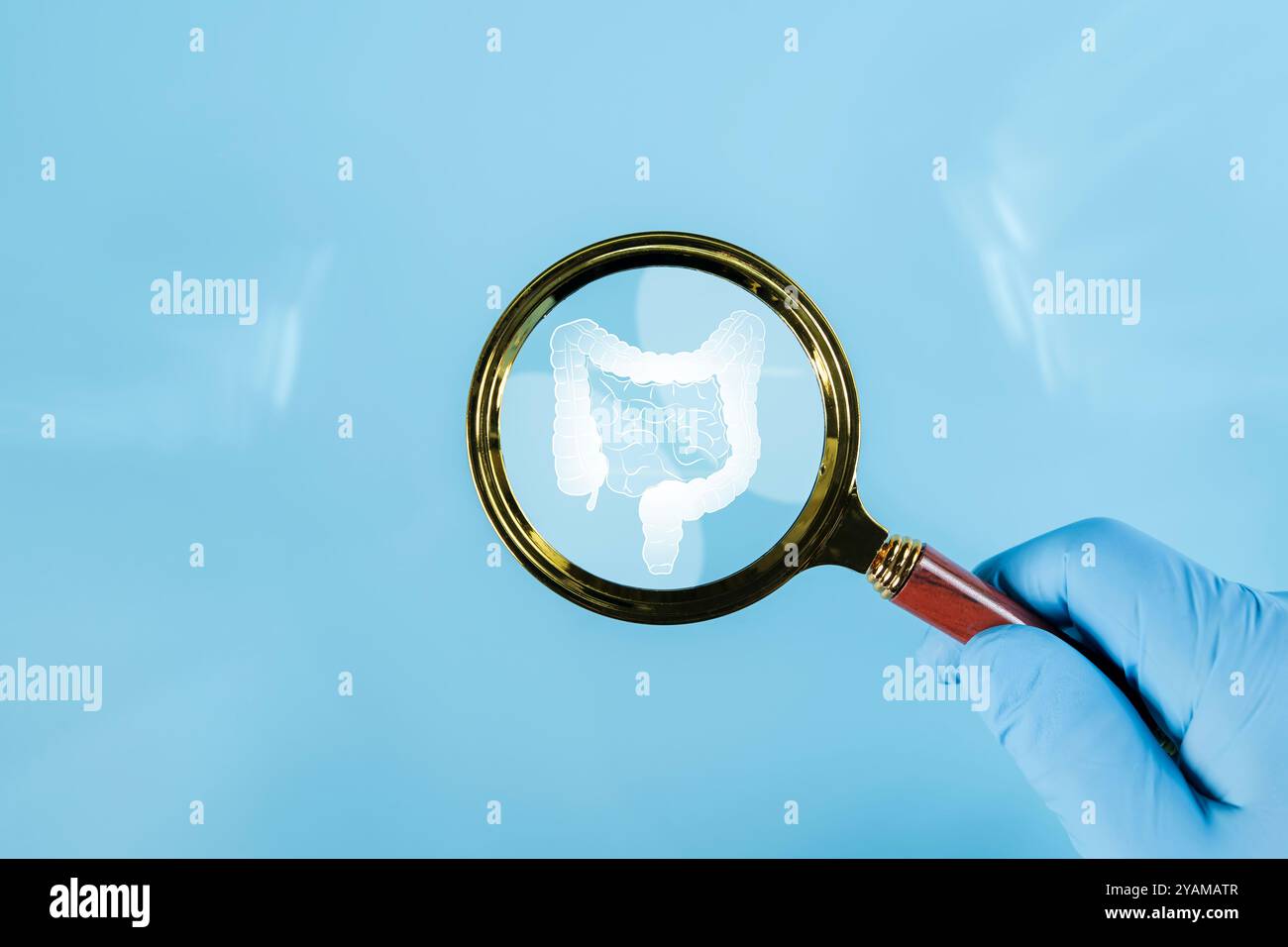Mockup of a human with internal organs and red intestines under a ...