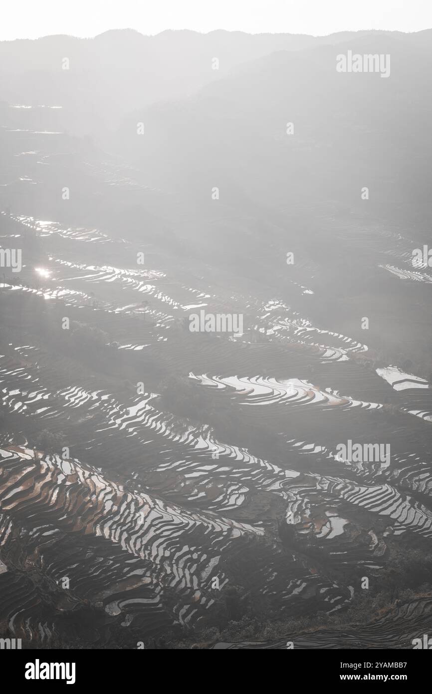 Vertical image of beautiful setting sun light above Bada Rice terraces ...