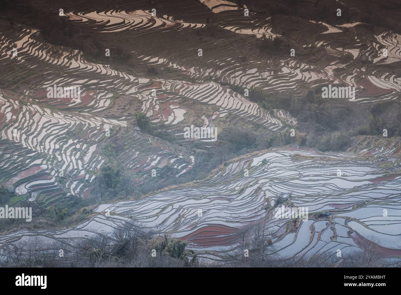 Close up on the layers of the rice terraces in Bada rice terraces area ...
