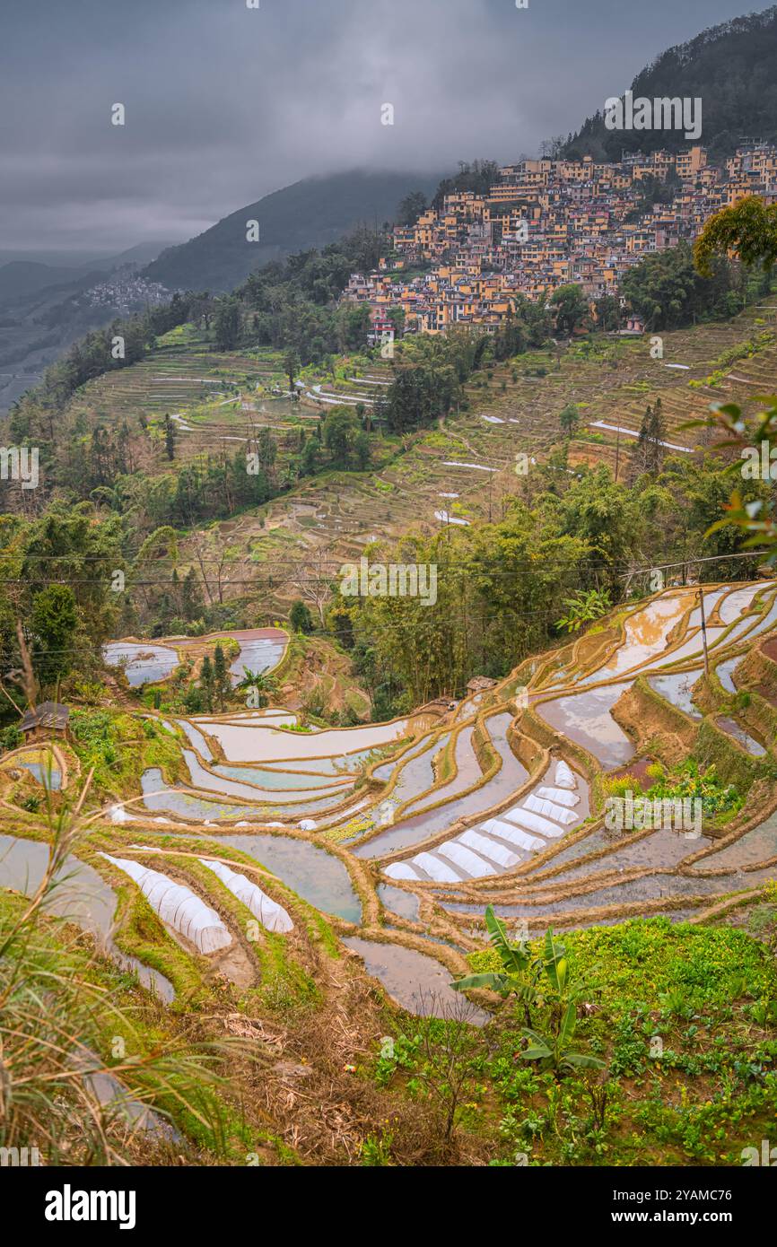 The slope with the rice terraces and the village on the top of the ...