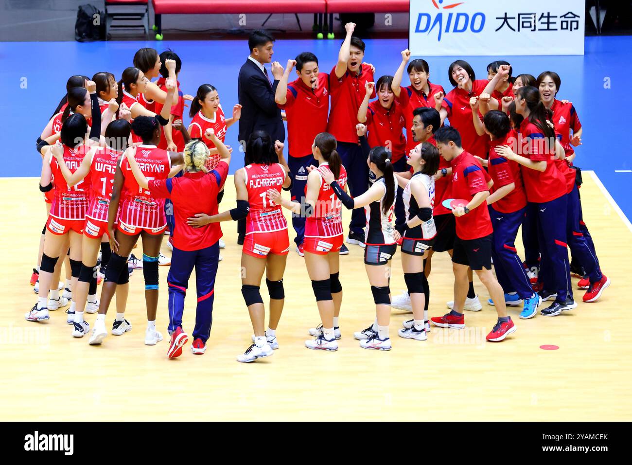 Kanagawa, Japan. 12th Oct, 2024. NECNEC Red Rockets Kawasaki team group (NEC) Volleyball : 2024 ...