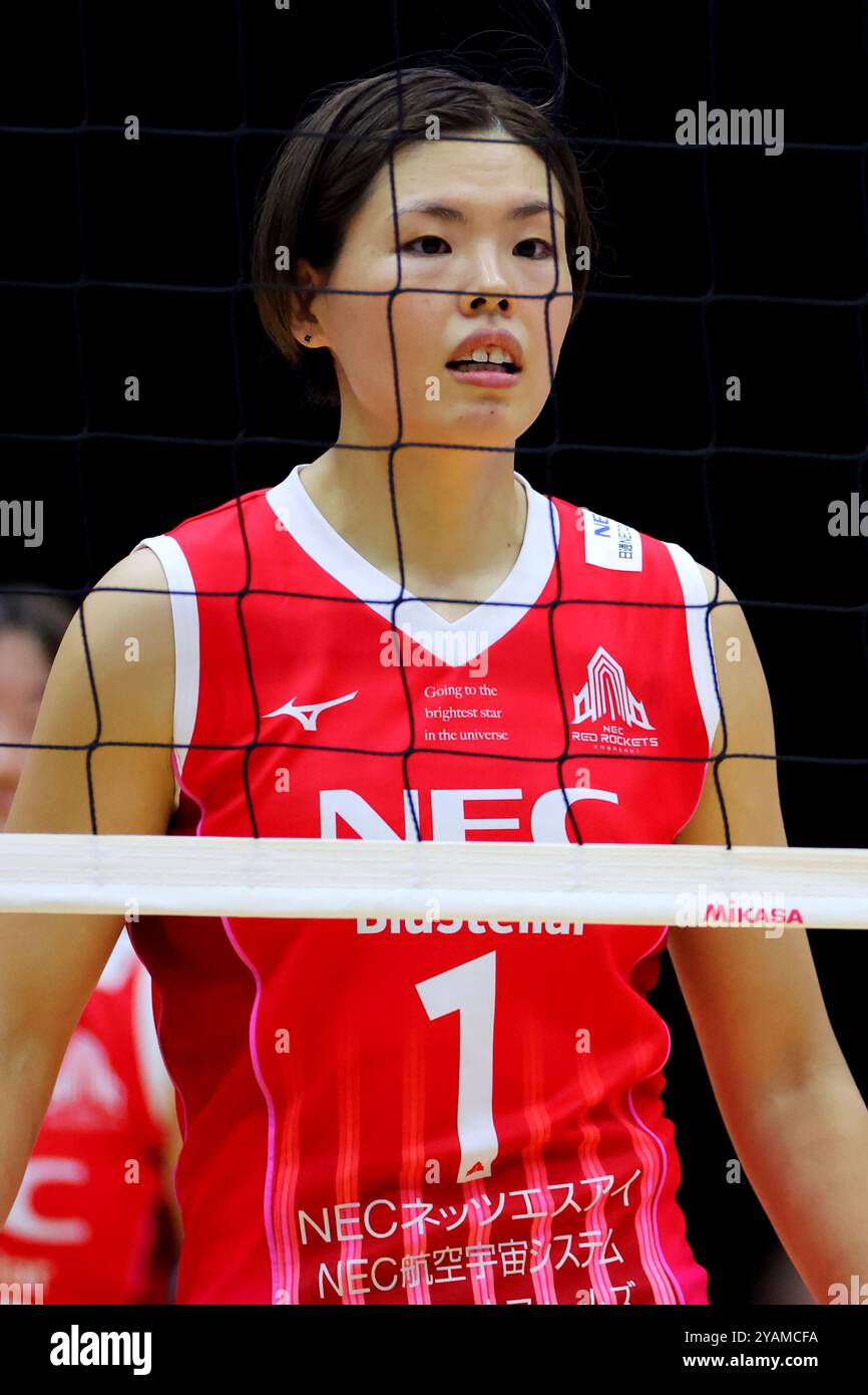 Kanagawa, Japan. 12th Oct, 2024. Haruyo Shimamura (NEC) Volleyball ...
