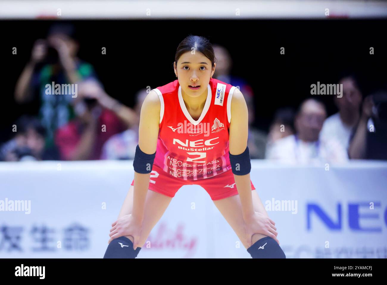 Kanagawa, Japan. 12th Oct, 2024. Yoshino Sato (NEC) Volleyball : 2024-25 SV.LEAGUE match between ...