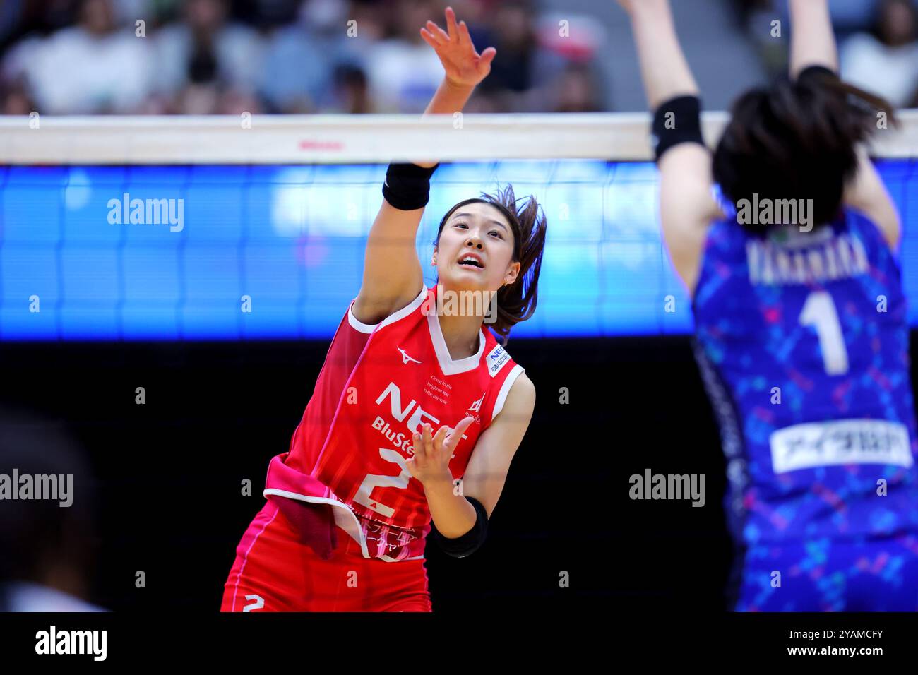 Kanagawa, Japan. 12th Oct, 2024. Yoshino Sato (NEC) Volleyball : 2024-25 SV.LEAGUE match between ...