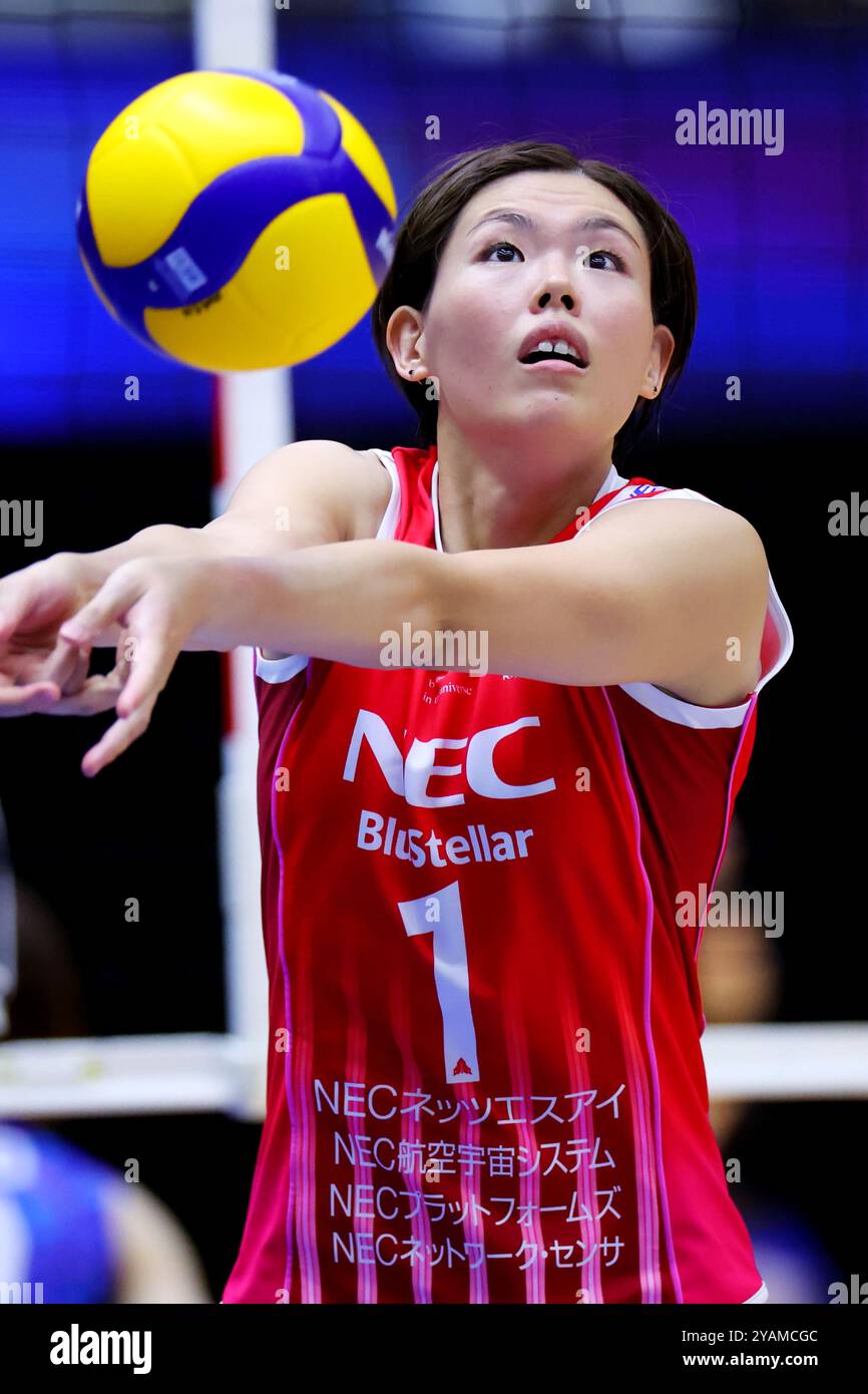Kanagawa, Japan. 12th Oct, 2024. Haruyo Shimamura (NEC) Volleyball ...