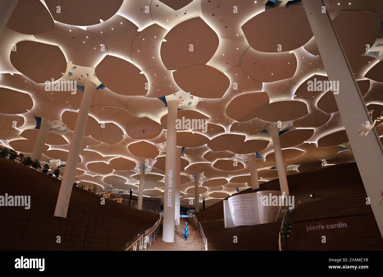 Pierre cardin china hi-res stock photography and images - Alamy