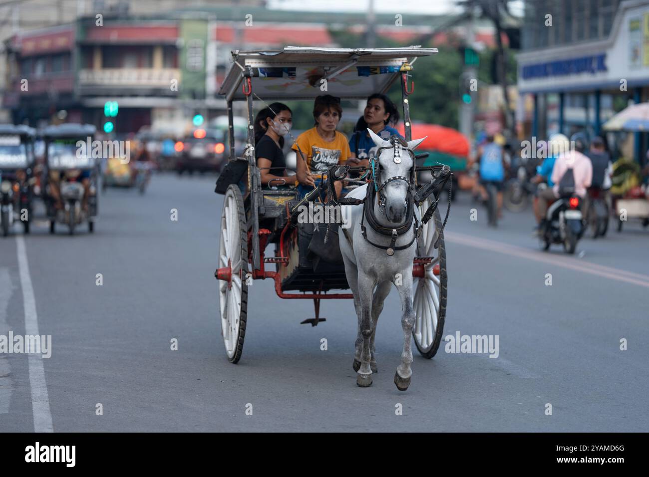 A horse and carriage driven by a lady driver with passengers in the ...