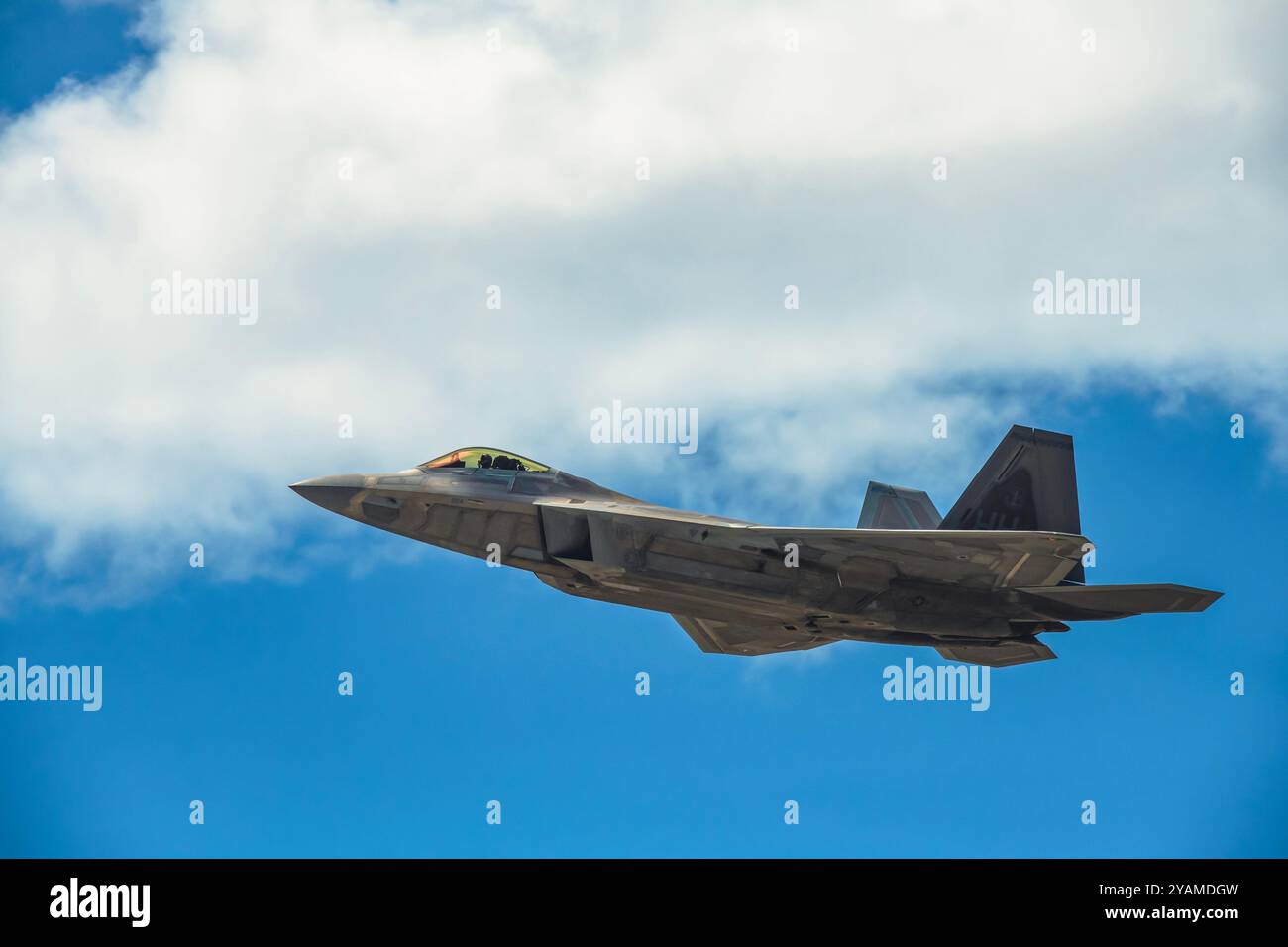 U.S. Air Force F-22 Raptor from the 199th Fighter Squadron, Hawaii Air ...