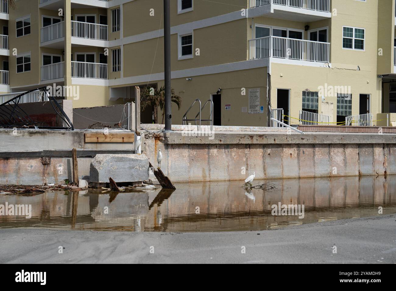 Nfs symbol hi-res stock photography and images - Alamy