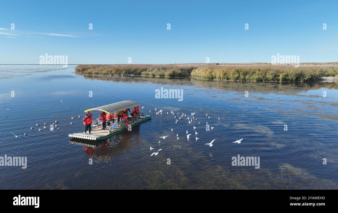 Alxa, China's Inner Mongolia Autonomous Region. 14th Oct, 2024. An ...