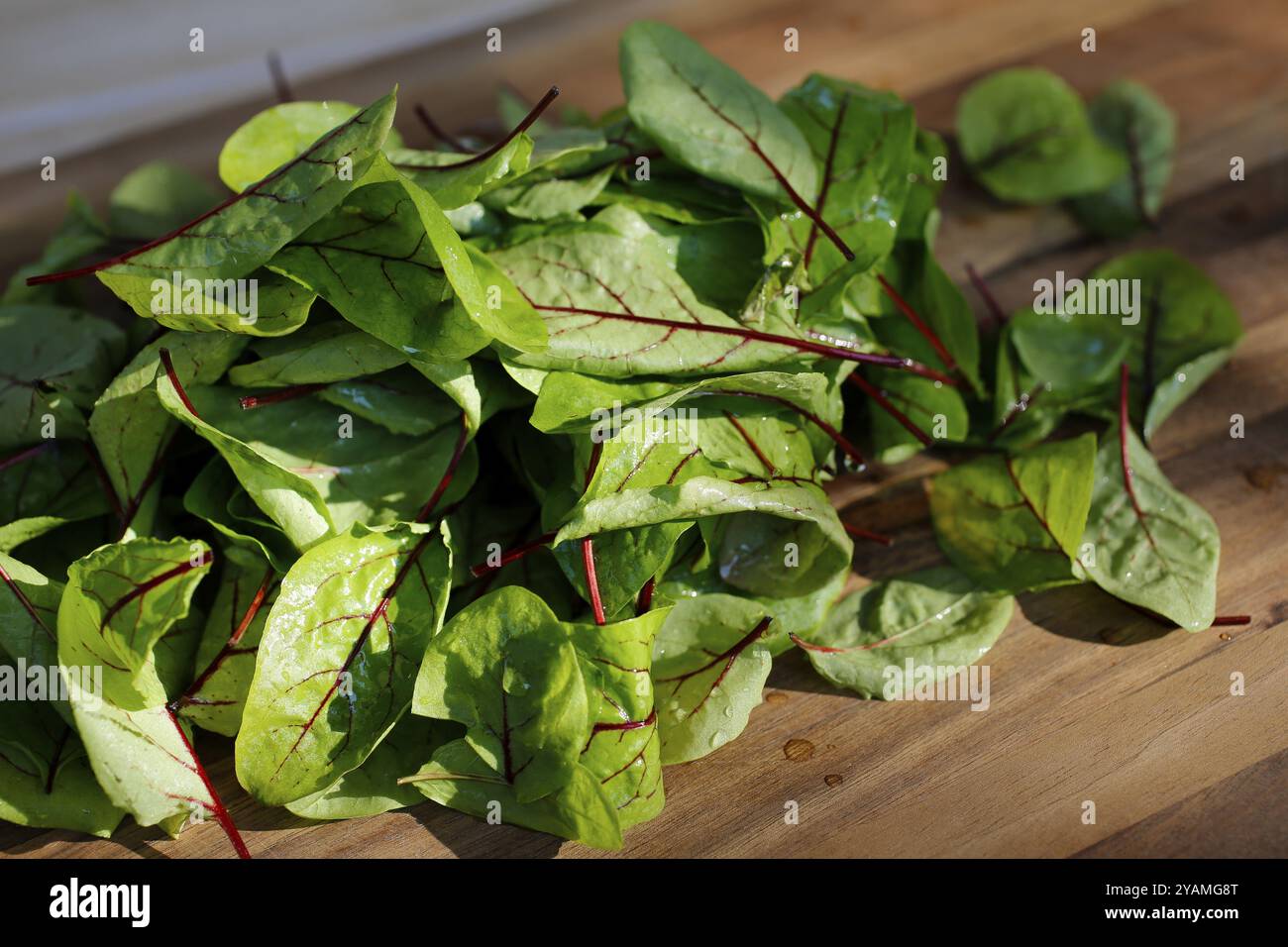 Southern German cuisine, preparation of sorrel soup with char, blood ...