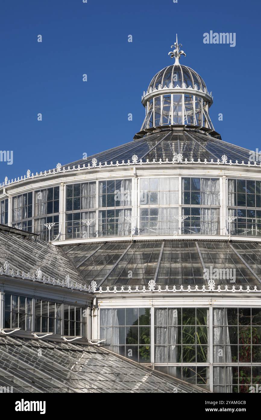 Detail of large historic greenhouse, palm house with glass facade, blue ...