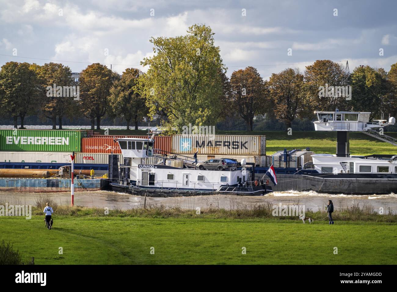 Container freighter Balance on the Rhine at Duesseldorf-Hamm, Rheinauen ...