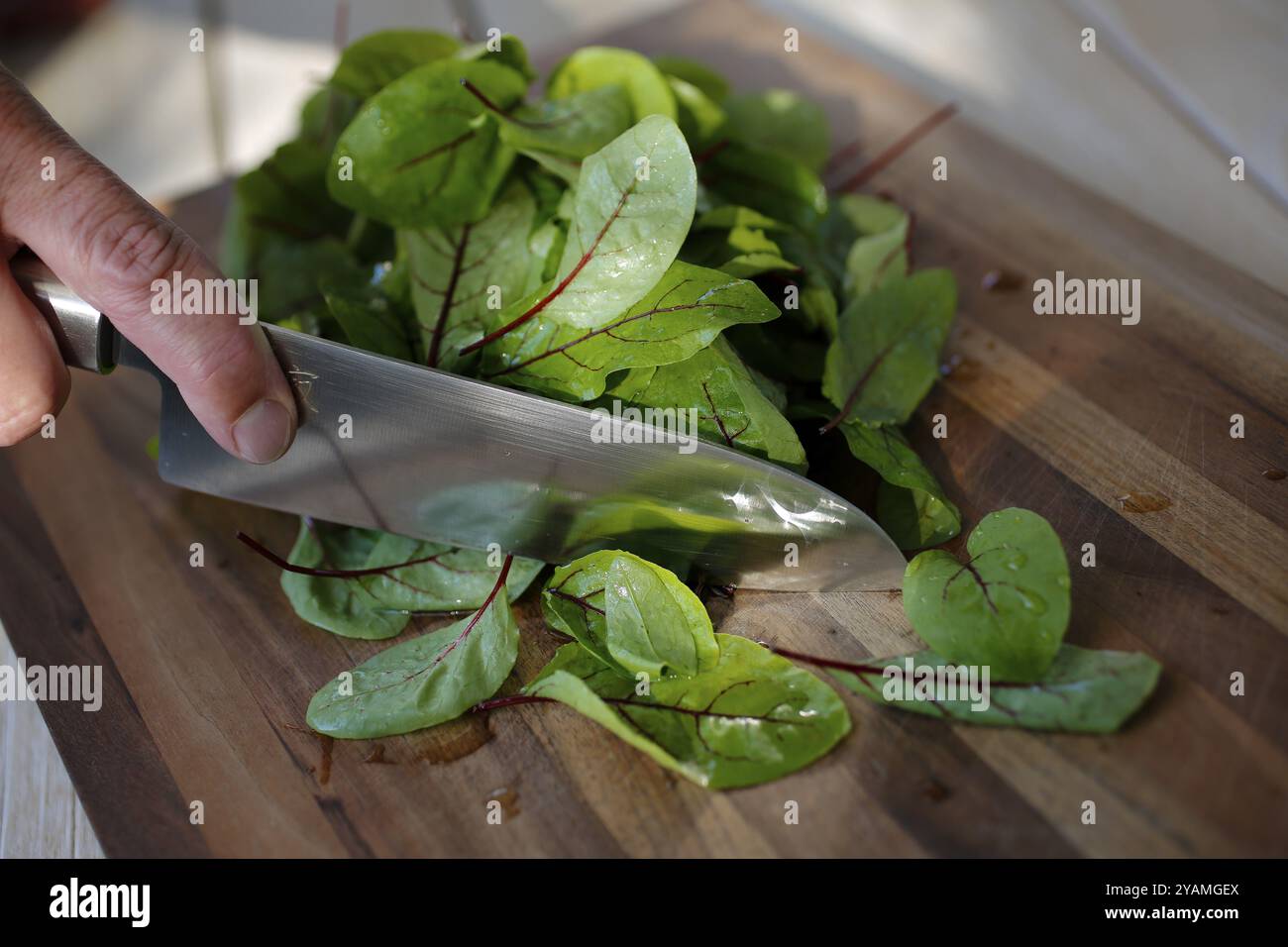 Southern German cuisine, preparation of sorrel soup with char, blood ...