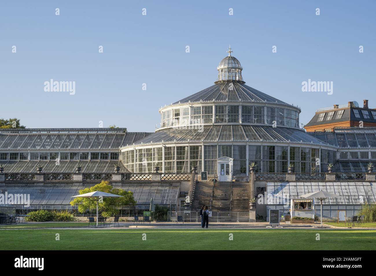 Large historic greenhouse, palm house with glass facade, lawn, blue sky ...