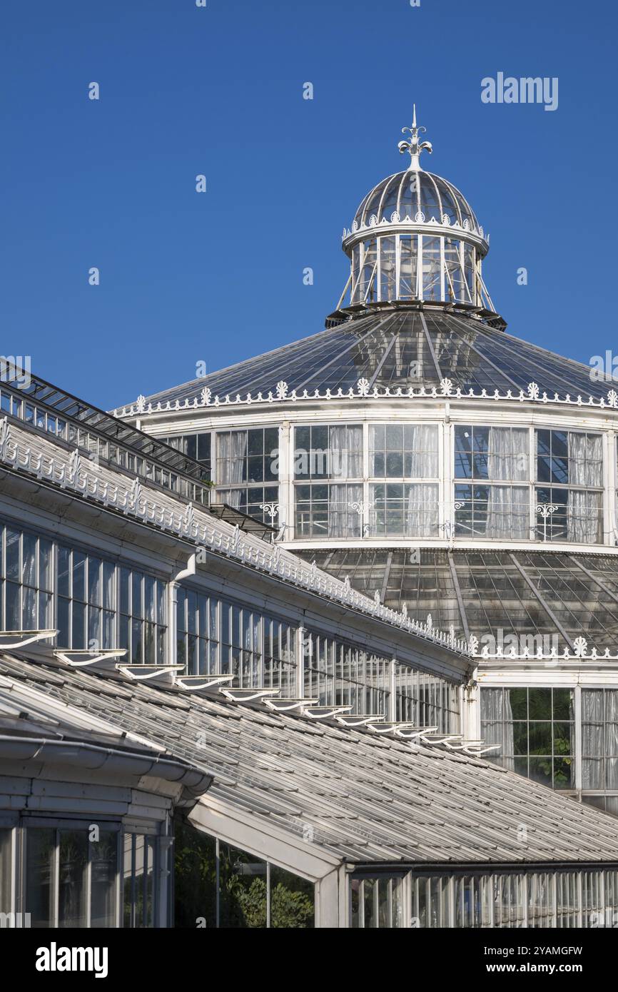 Large historic greenhouse, palm house with glass facade, blue sky ...