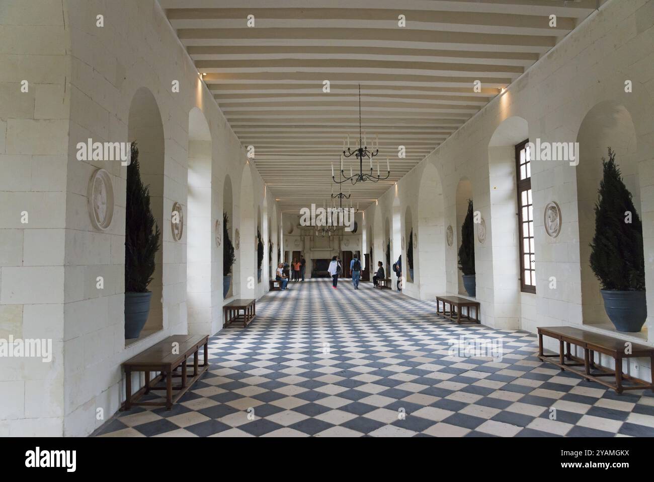 Daylight-flooded hall with vaulted ceilings and geometric tile patterns ...